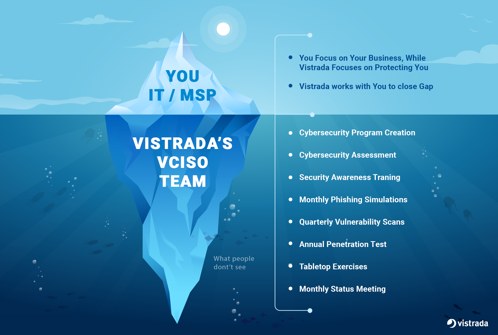 vCISO Services for Businesses | Expert Cybersecurity Leadership | Vistrada